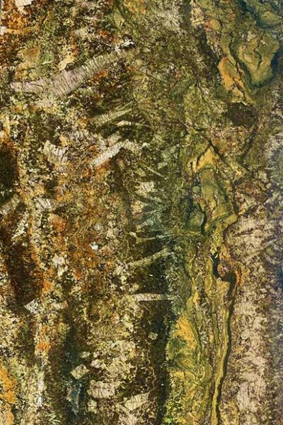Sophisticated Stone – Beautify Your Surroundings
